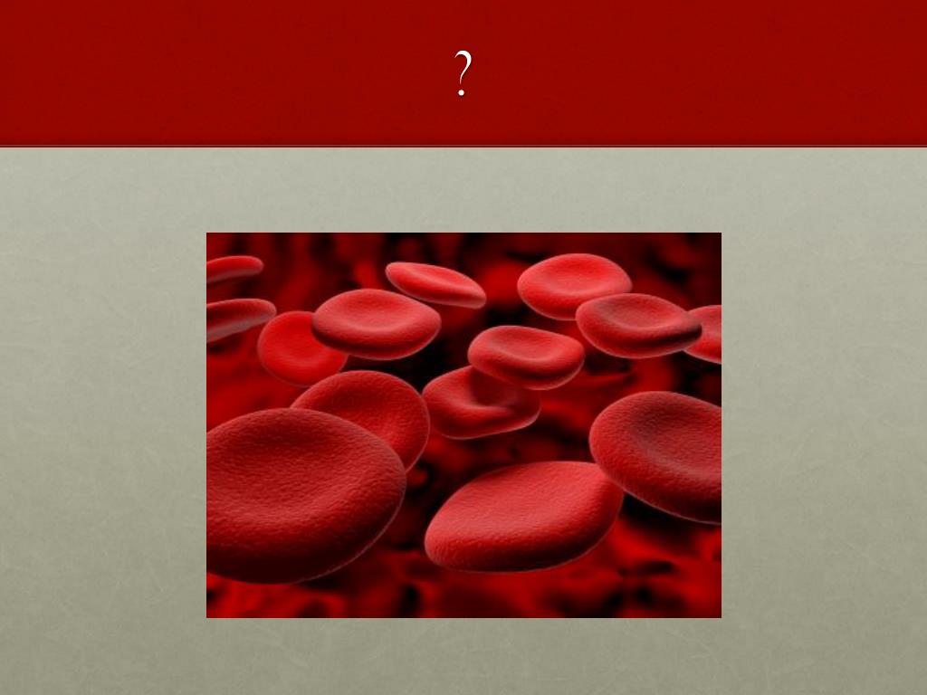 PPT - Red blood cells!!! PowerPoint Presentation, free download - ID ...
