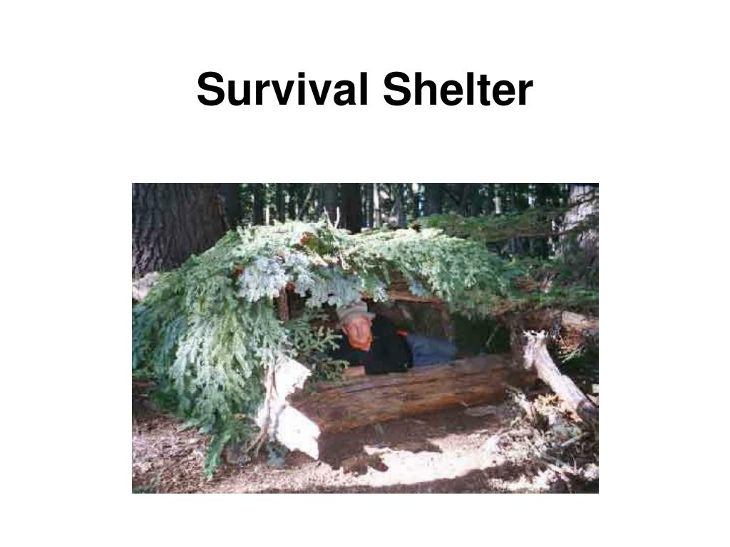 PPT - Survival Shelter PowerPoint Presentation, free download - ID:5334679