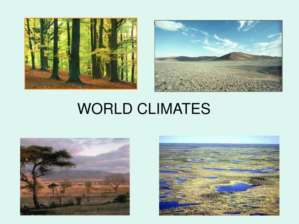 PPT - WORLD CLIMATES PowerPoint Presentation, free download - ID:5337557