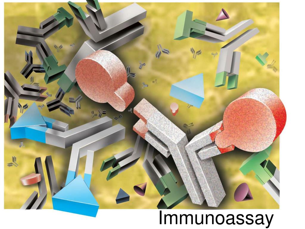 PPT - Immunoassay PowerPoint Presentation, free download - ID:5337562