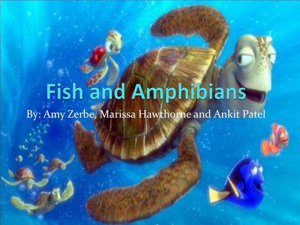 PPT - Fish and Amphibians PowerPoint Presentation, free download - ID ...