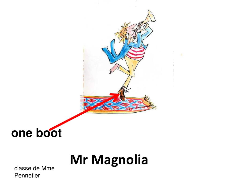 PPT - Mr Magnolia PowerPoint Presentation, free download - ID:5341159