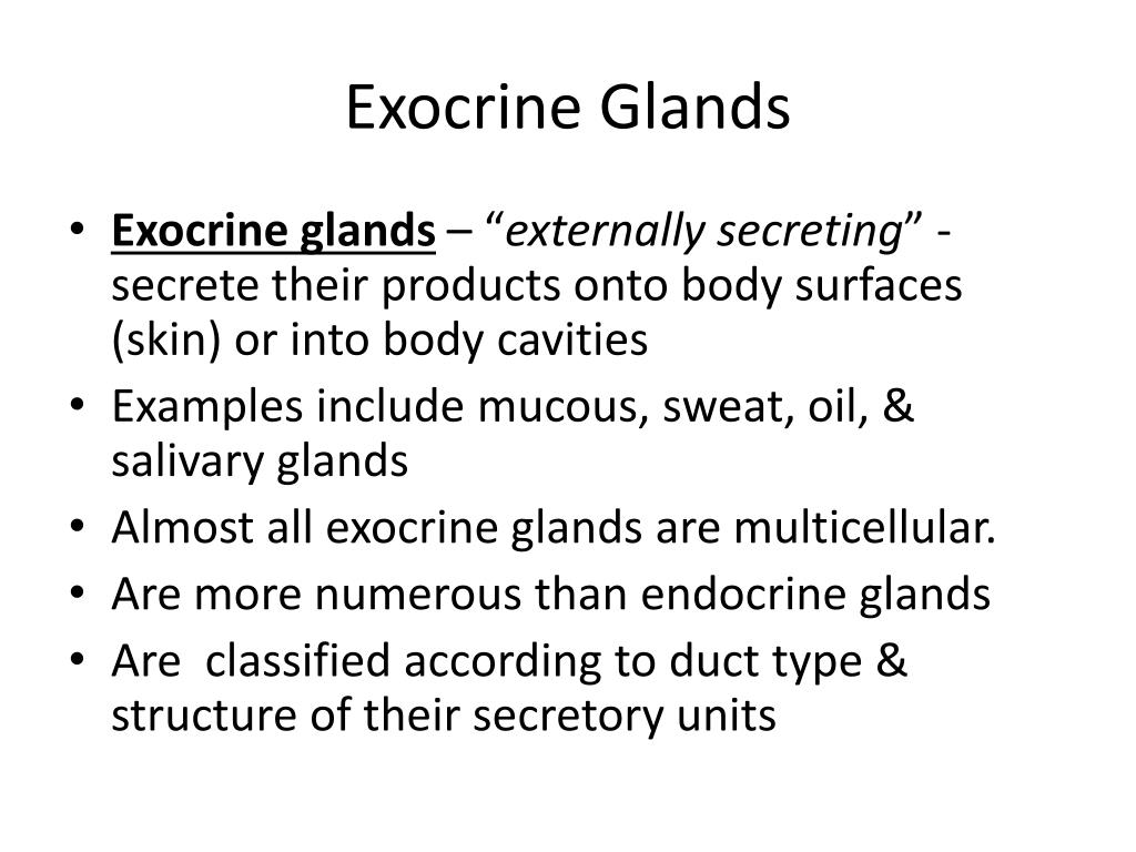 PPT - Exocrine Glands PowerPoint Presentation, free download - ID:5341386