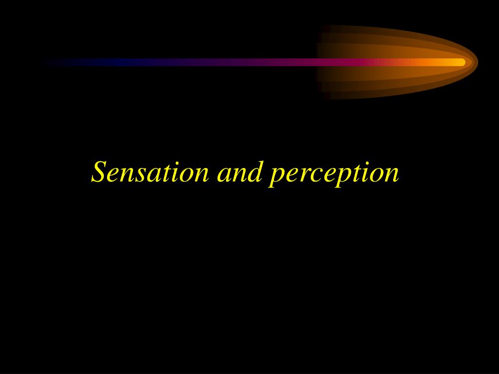 PPT - Sensation and perception PowerPoint Presentation, free download ...