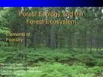 PPT - Forest Ecosystem PowerPoint Presentation, free download - ID:6847335