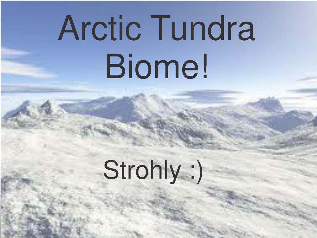 PPT - Arctic Tundra Biome! PowerPoint Presentation, free download - ID ...
