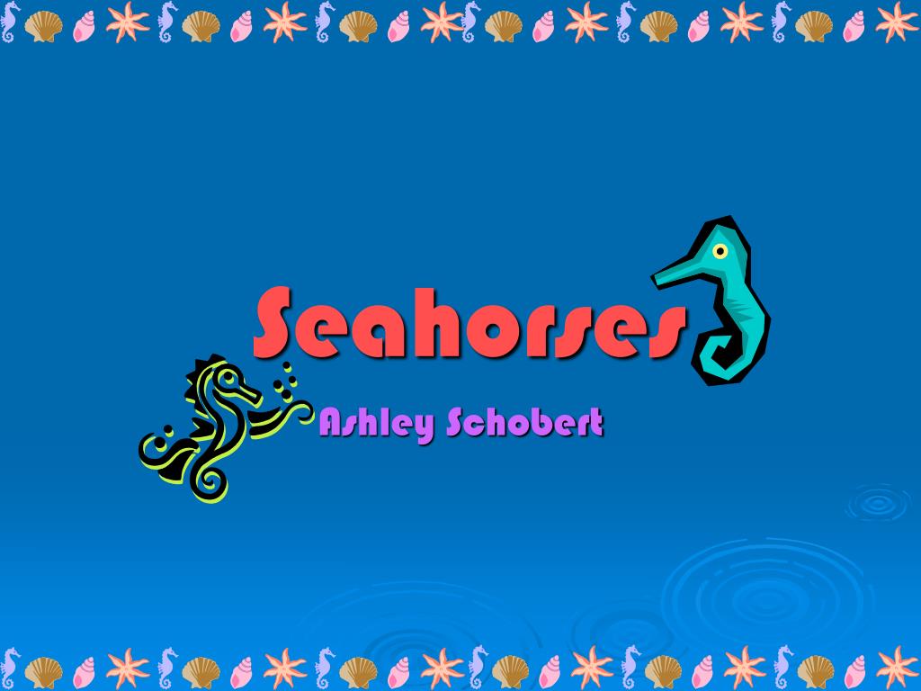 PPT - Seahorses PowerPoint Presentation, free download - ID:5356438