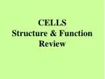 PPT - Structure and Function of Cells PowerPoint Presentation, free ...