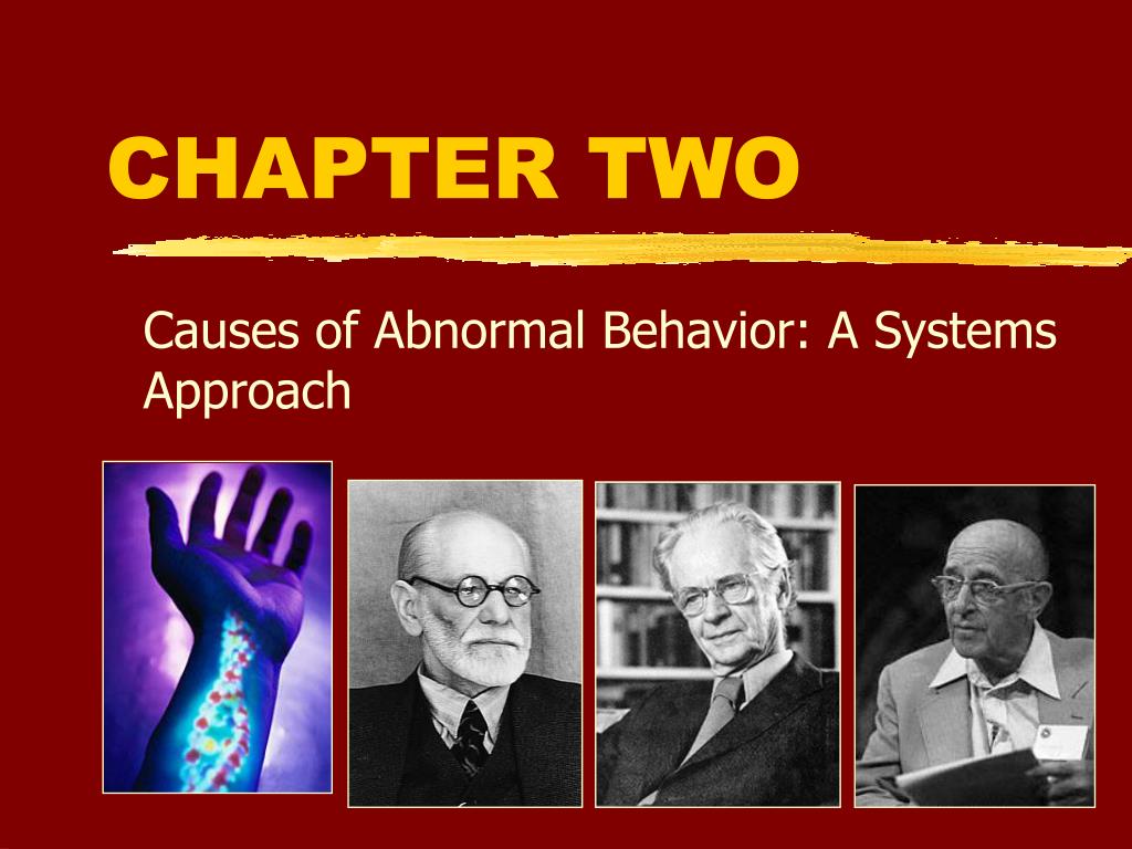 PPT - CHAPTER TWO PowerPoint Presentation, free download - ID:5366436