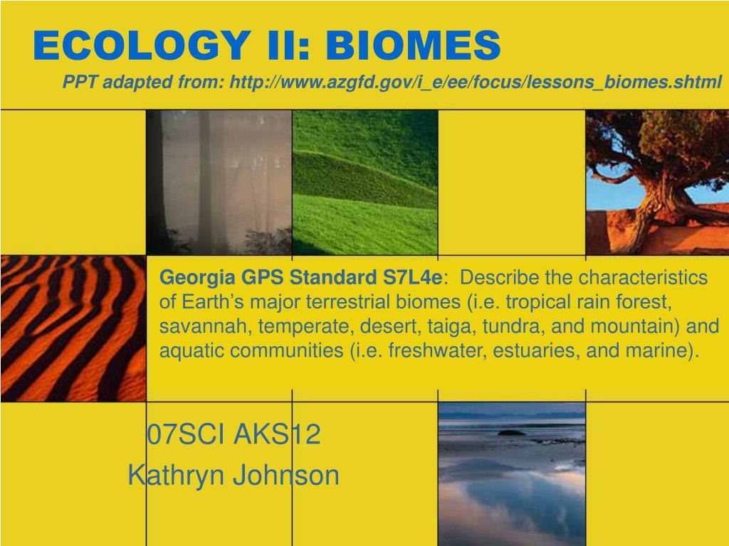 PPT - ECOLOGY II: BIOMES PowerPoint Presentation, free download - ID ...