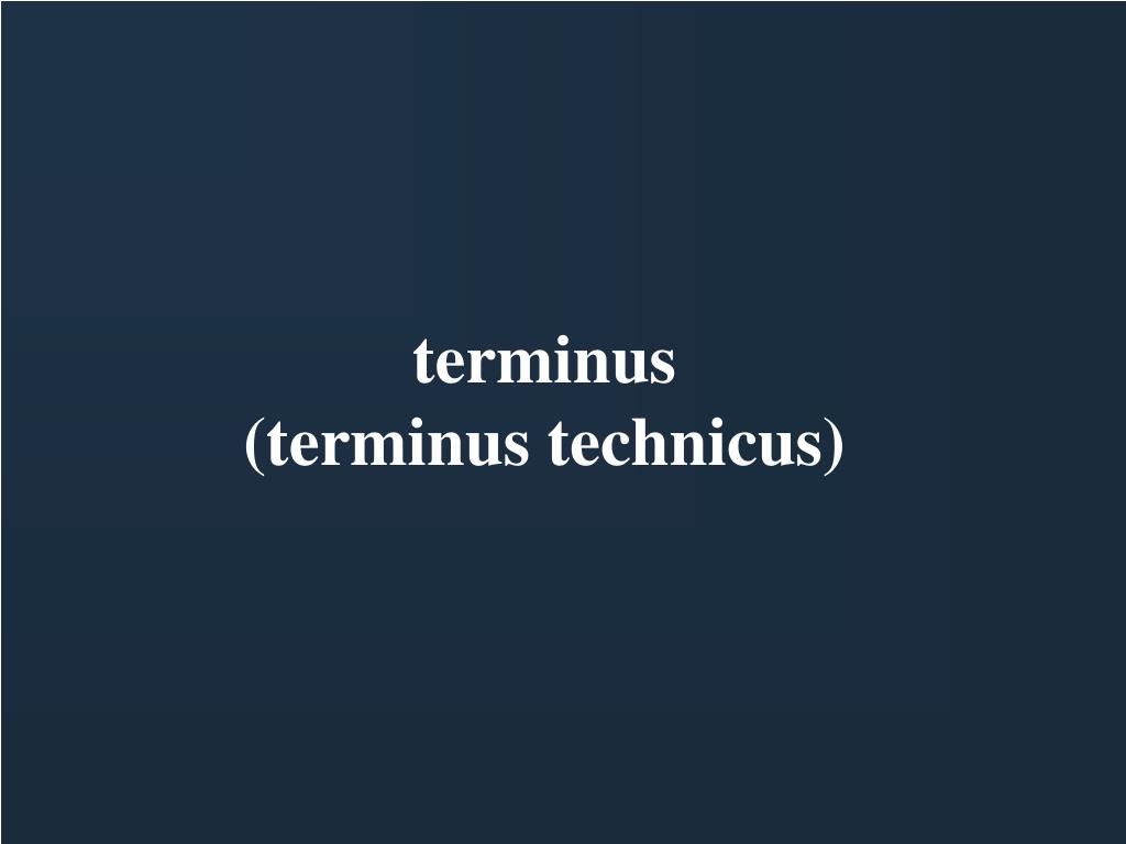 PPT - terminus (terminus technicus) PowerPoint Presentation, free ...